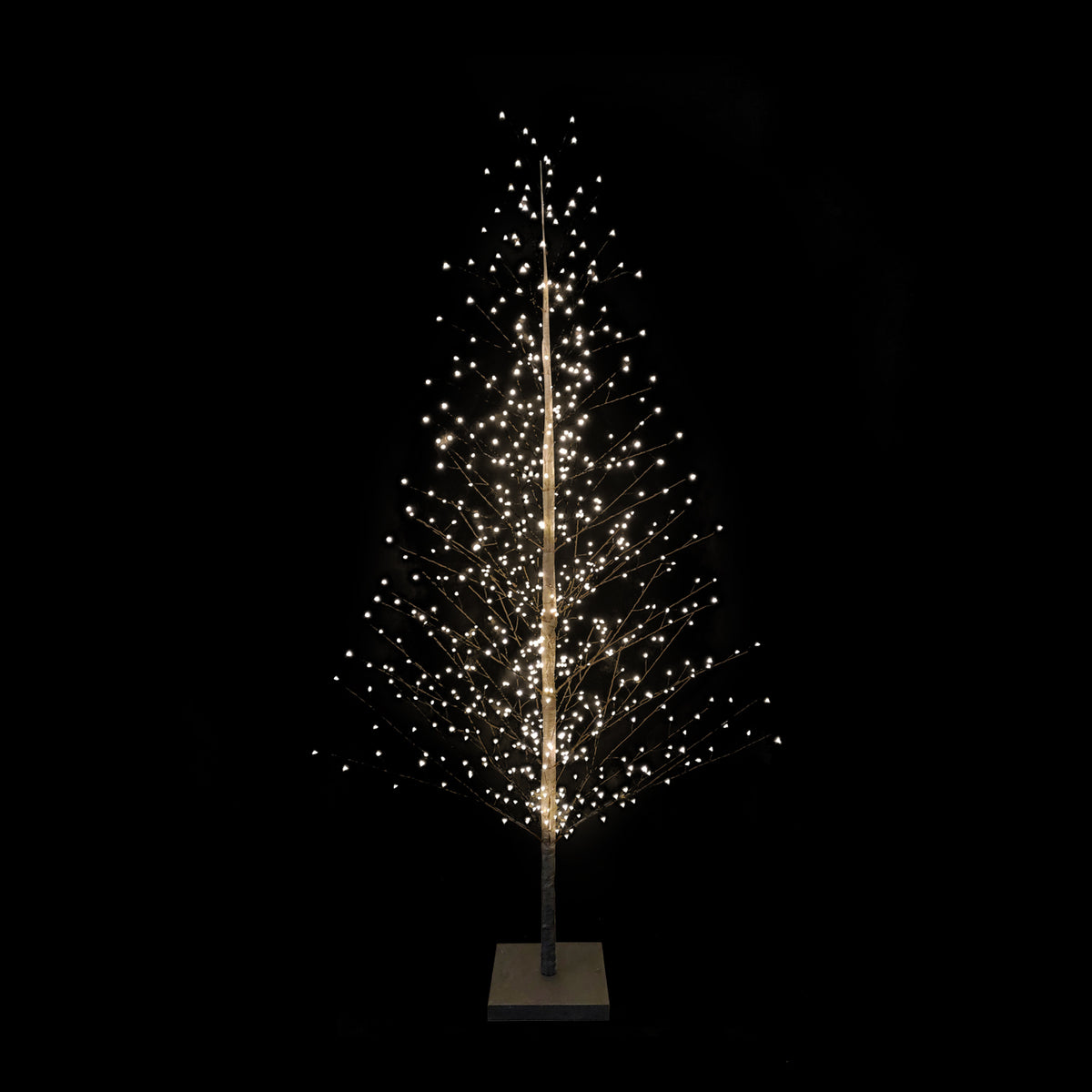 180cm Starry Light Tree w/ Black Birch — Xmas & Co.